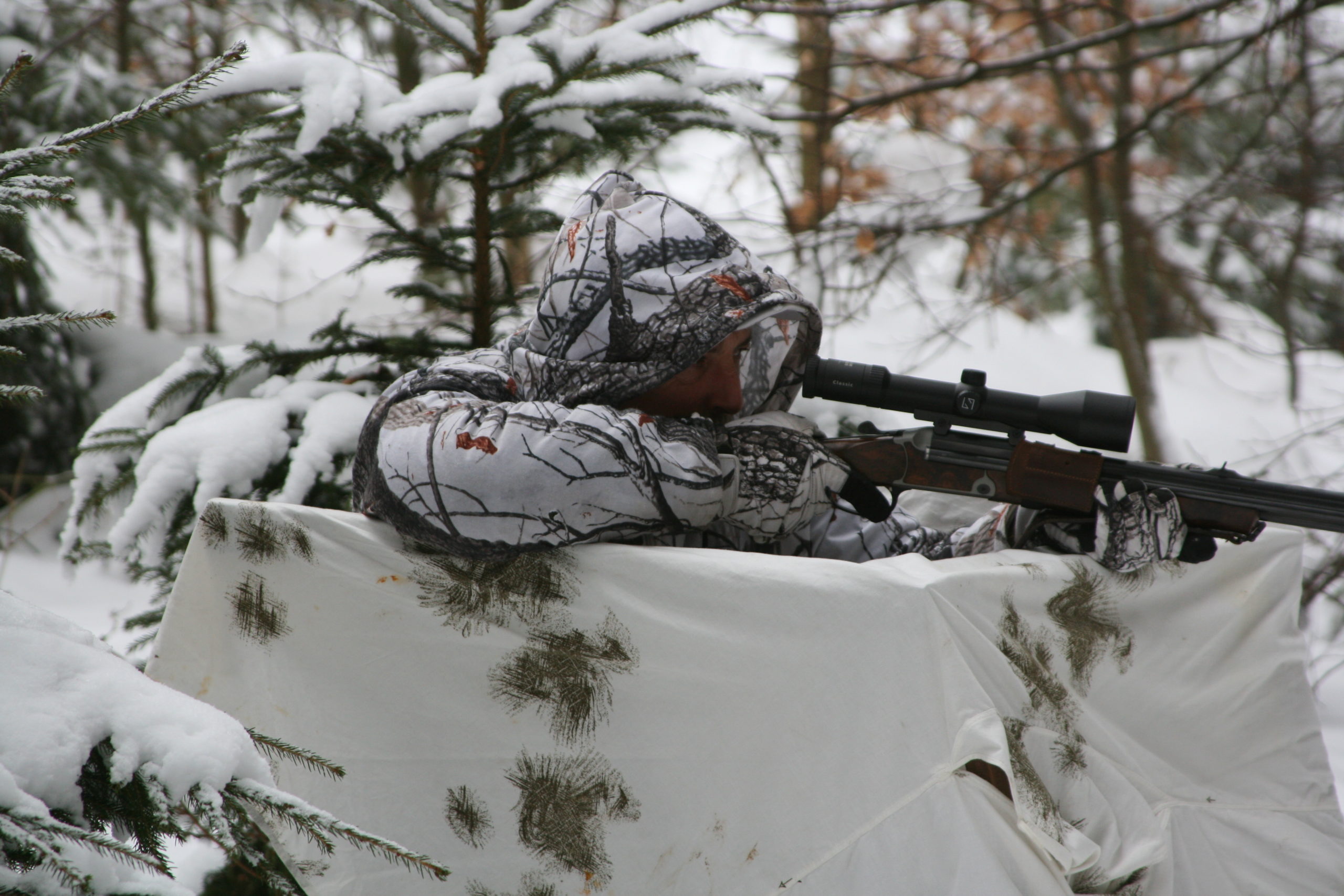 Bilder Fuchsjagd - Rottumtaler Wildlocker